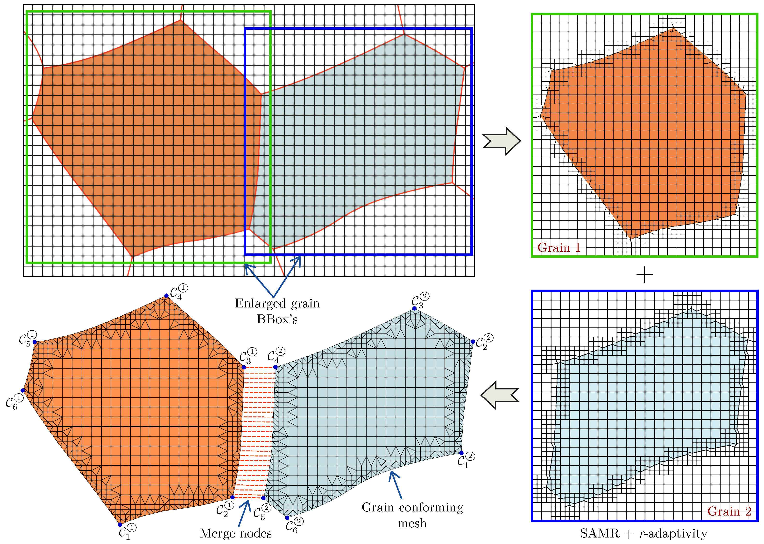 Automated Reconstruction and Conforming Mesh Generation for Polycrystalline Microstructures from ...