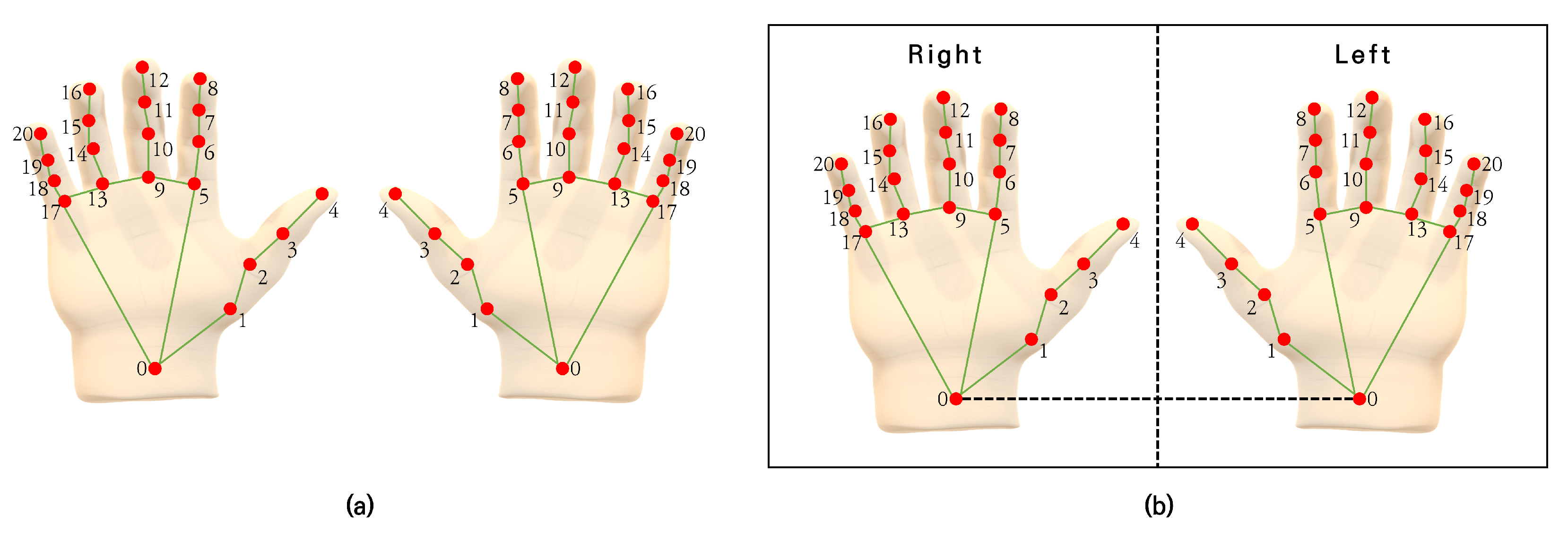 Vision-Based Hand Rotation Recognition Technique with Ground-Truth Dataset