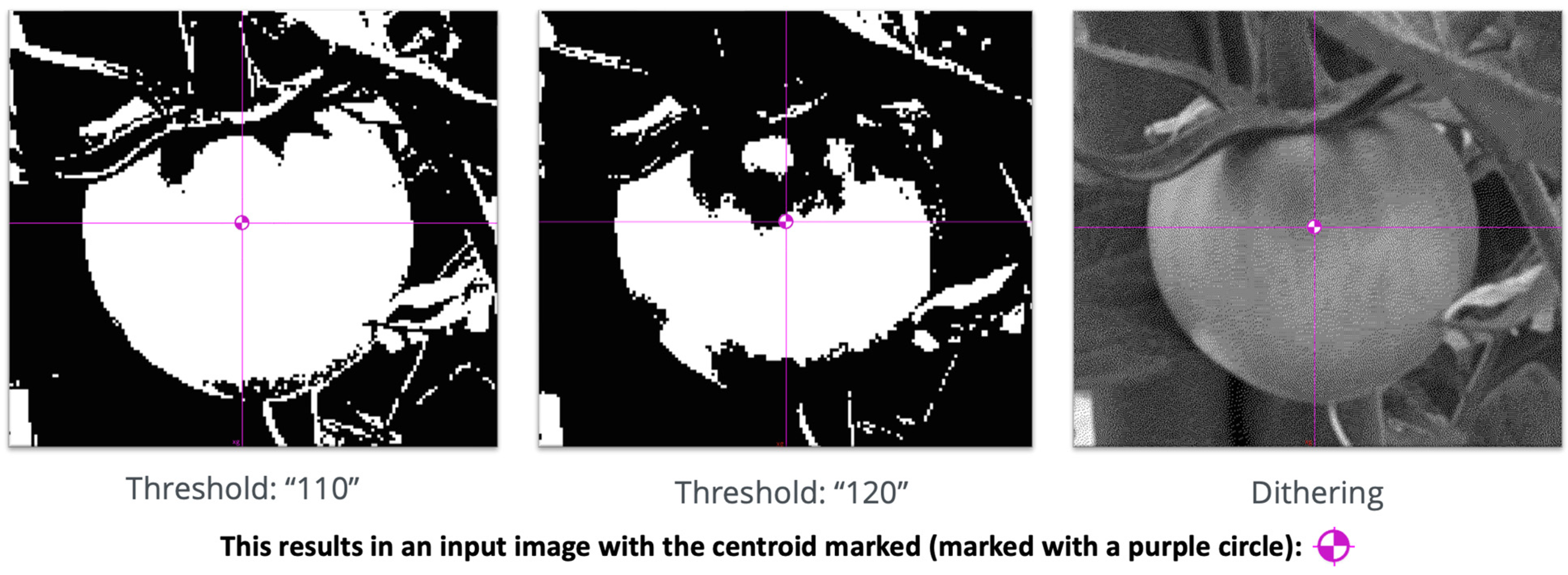 Advanced Preprocessing Technique for Tomato Imagery in Gravimetric ...