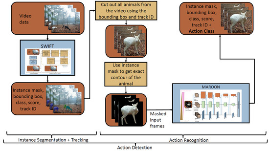 Action Detection for Wildlife Monitoring with Camera Traps Based on ...
