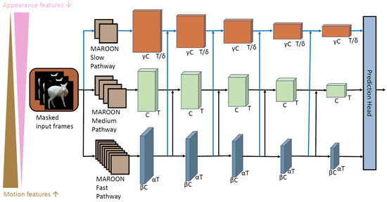 Action Detection for Wildlife Monitoring with Camera Traps Based on ...