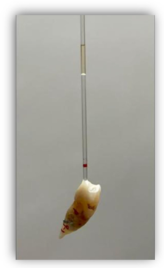 Comparative Study of the Expansive Behaviour of Different Internal ...