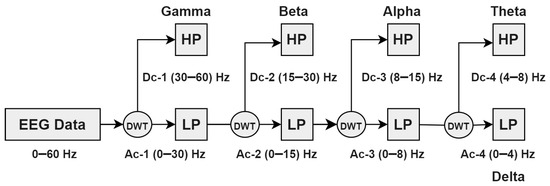 Epileptic Seizure Classification Based on Random Neural Networks Using Discrete Wavelet ...