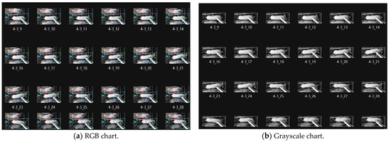 Research on Contactless Detection of Sow Backfat Thickness Based on ...