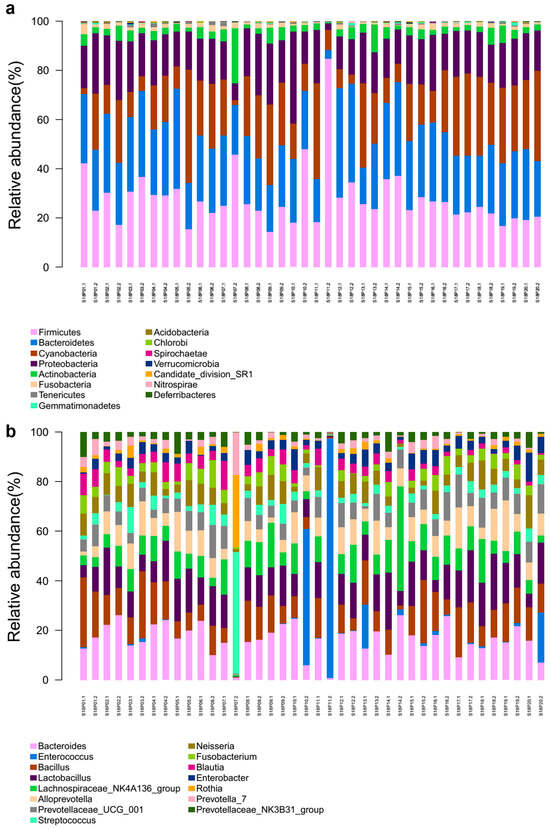 Species Diversity, Nitrogen Fixation, and Nutrient Solubilization ...