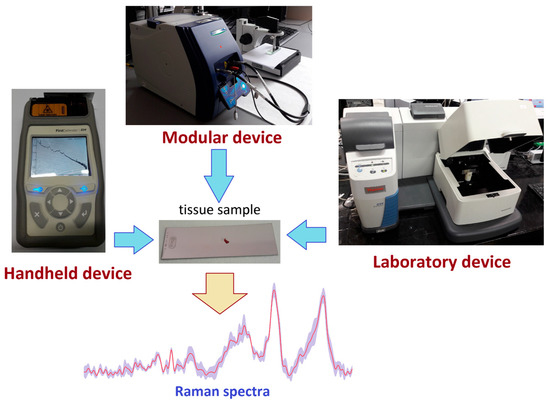Comparative Study on Handheld, Modular, and Laboratory Raman ...