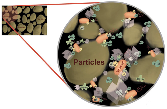 Novel Understandings of Biomineralization in Backfill Materials: A ...