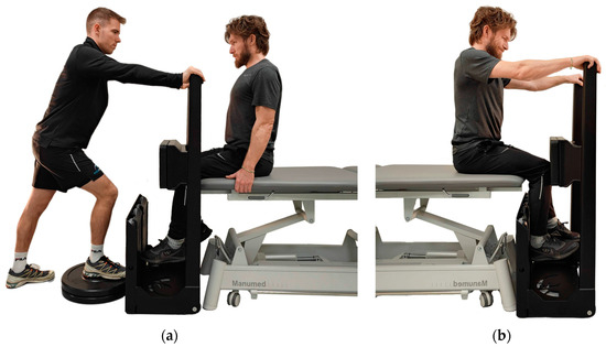 Assessing Isometric Quadriceps and Hamstring Strength in Young Men and ...