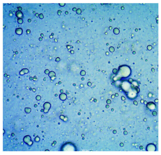 Critical Review of Techniques for Food Emulsion Characterization