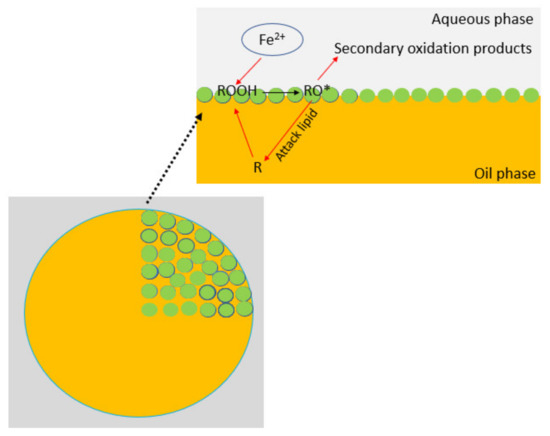 Critical Review of Techniques for Food Emulsion Characterization