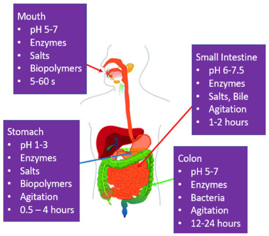 Critical Review of Techniques for Food Emulsion Characterization