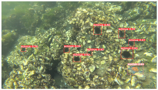 Applied Sciences | Free Full-Text | Efficient Small-Object Detection in ...