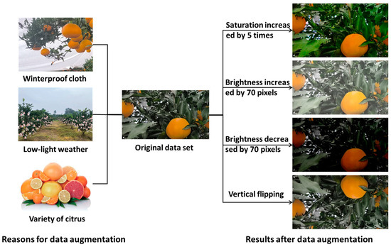 Approach of Dynamic Tracking and Counting for Obscured Citrus in Smart ...