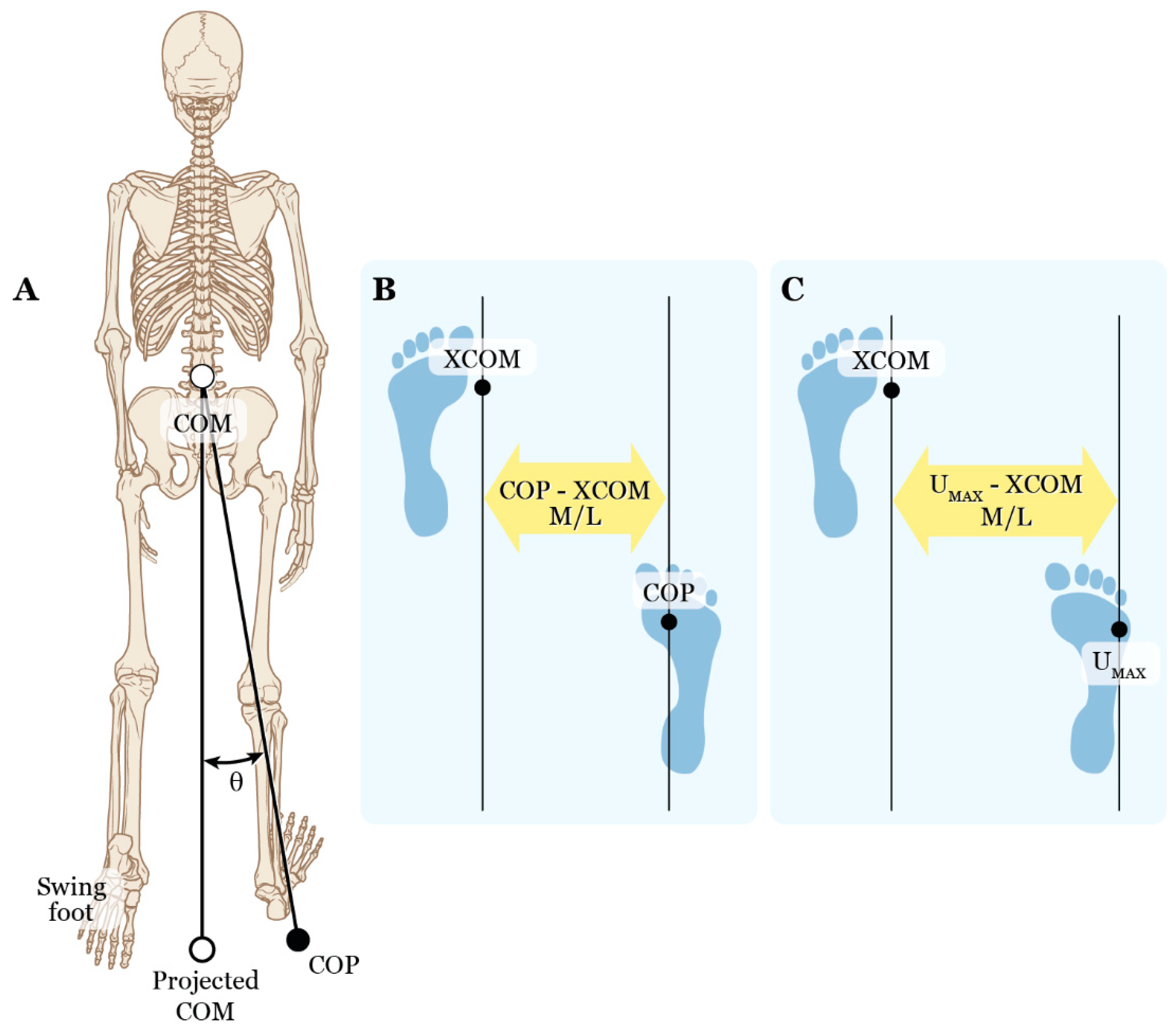 Applied Sciences | Free Full-Text | Dynamic Measures of Balance during ...
