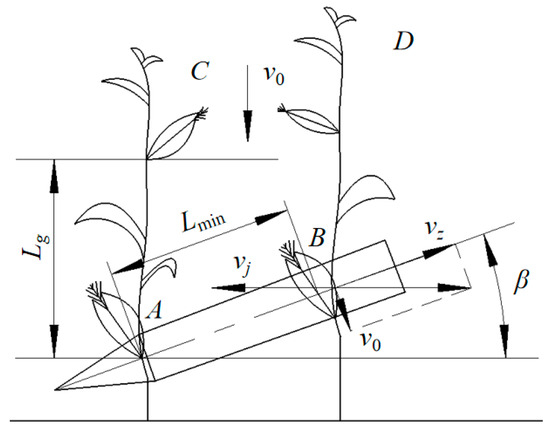 Design and Experiment of a Harvesting Header for Wide–Narrow-Row Corn