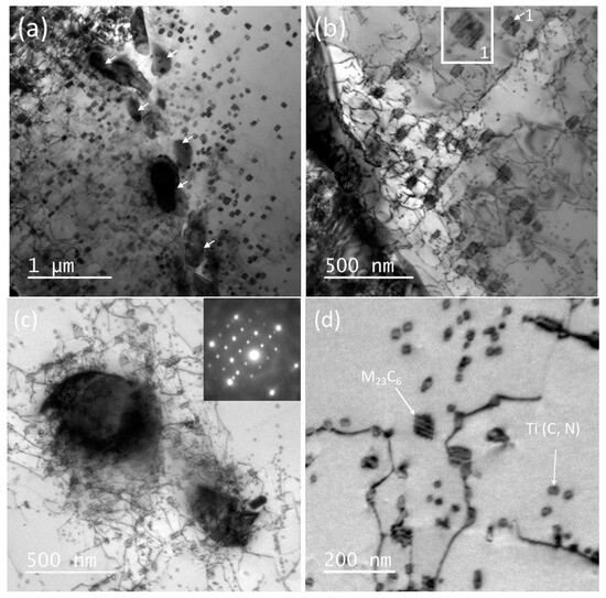High-Temperature Creep and Microstructure Evolution of Alloy 800H ...