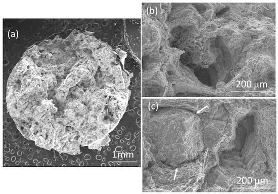 High-Temperature Creep and Microstructure Evolution of Alloy 800H ...