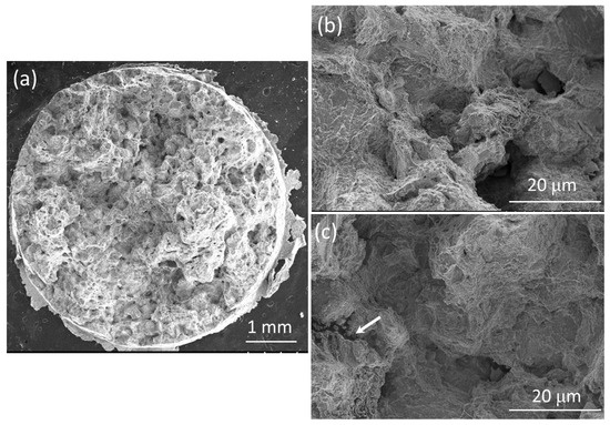 High-Temperature Creep and Microstructure Evolution of Alloy 800H ...