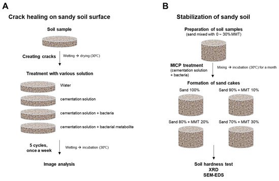 Microbial Precipitation of Calcium Carbonate for Crack Healing and ...