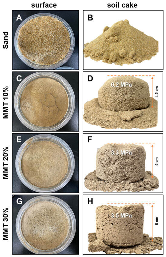 Microbial Precipitation of Calcium Carbonate for Crack Healing and ...