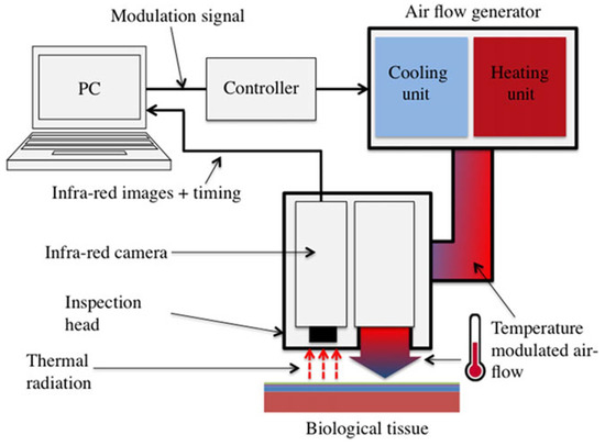 Applied Sciences | Free Full-Text | A Review of Techniques and Bio-Heat ...