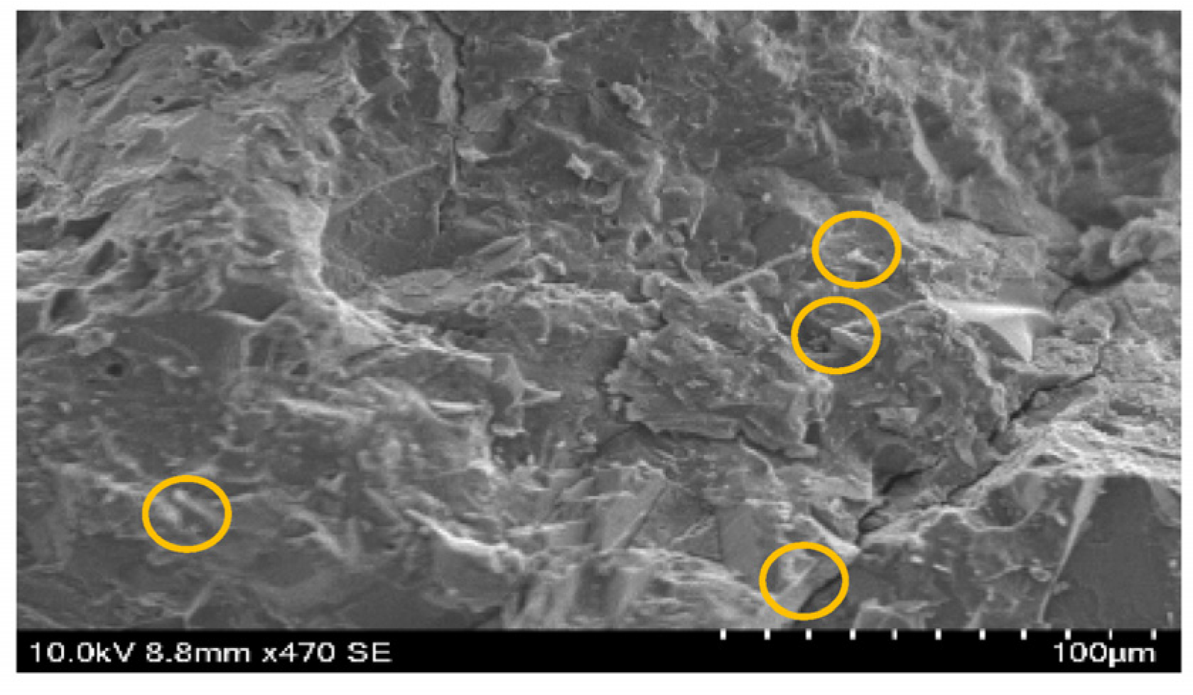 The Behavior of Ceramic Fiber Geopolymer Concrete under the Effect of ...