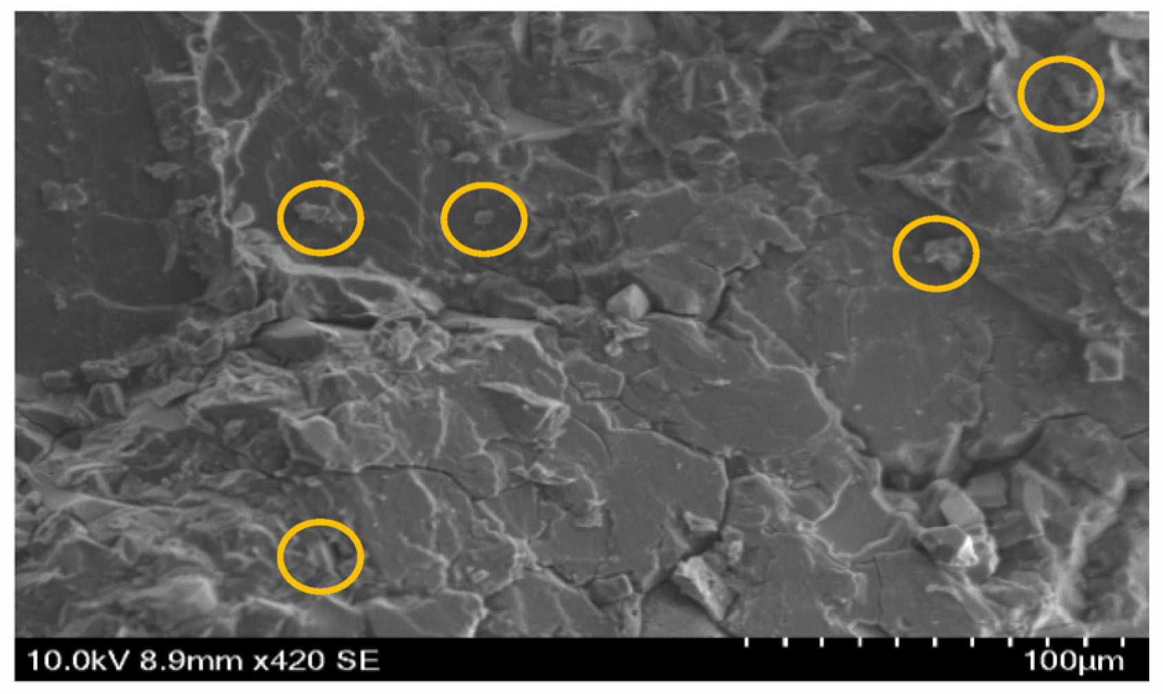 The Behavior of Ceramic Fiber Geopolymer Concrete under the Effect of ...