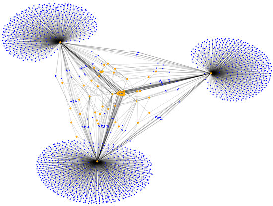 Distributed Detection of Large-Scale Internet of Things Botnets Based on Graph Partitioning