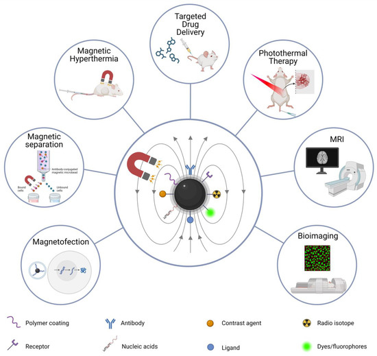 Applied Sciences | Free Full-Text | Magnetic Nanoparticles: Synthesis, Characterization, and ...