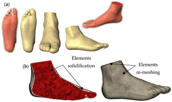 Biomechanical Evaluation of Plantar Pressure Distribution towards a ...
