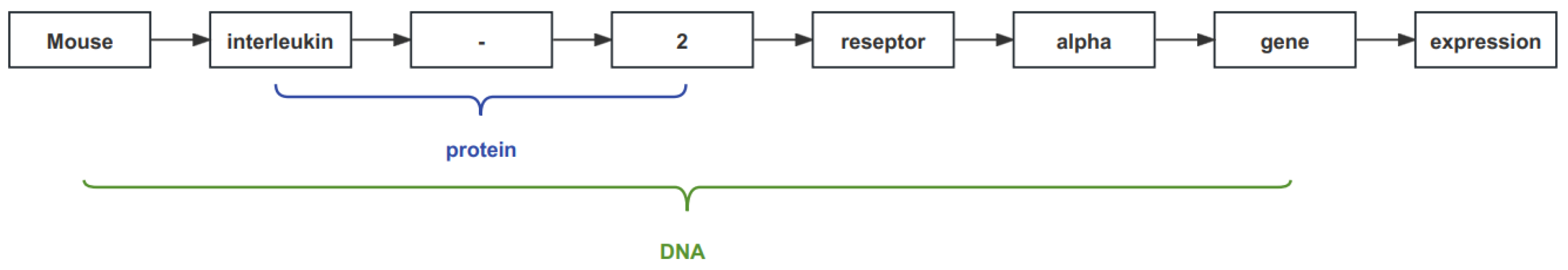 PNER: Applying the Pipeline Method to Resolve Nested Issues in Named Entity Recognition