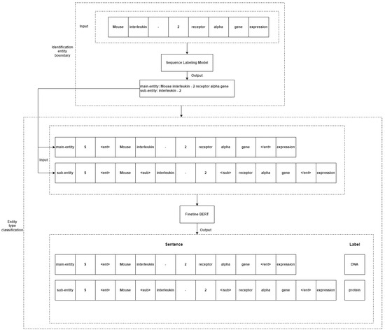 PNER: Applying the Pipeline Method to Resolve Nested Issues in Named Entity Recognition