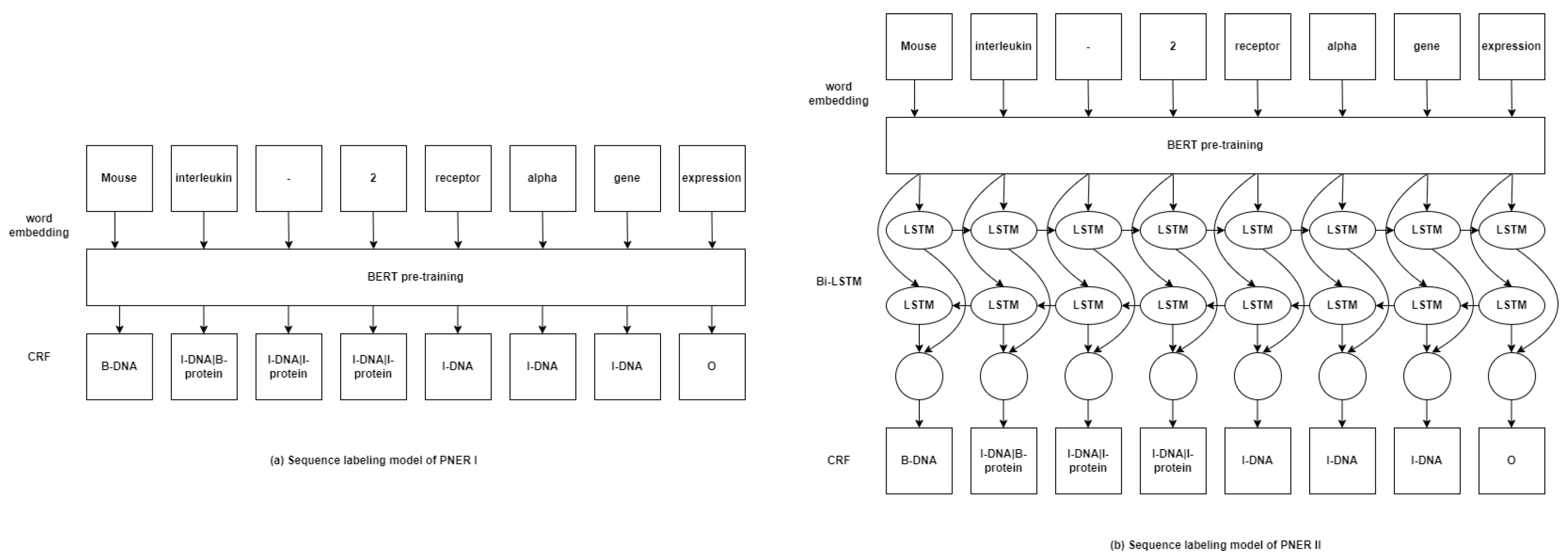 PNER: Applying the Pipeline Method to Resolve Nested Issues in Named Entity Recognition