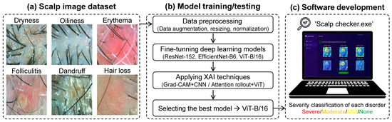 Intelligent Healthcare Platform for Diagnosis of Scalp and Hair Disorders