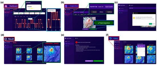 Intelligent Healthcare Platform for Diagnosis of Scalp and Hair Disorders