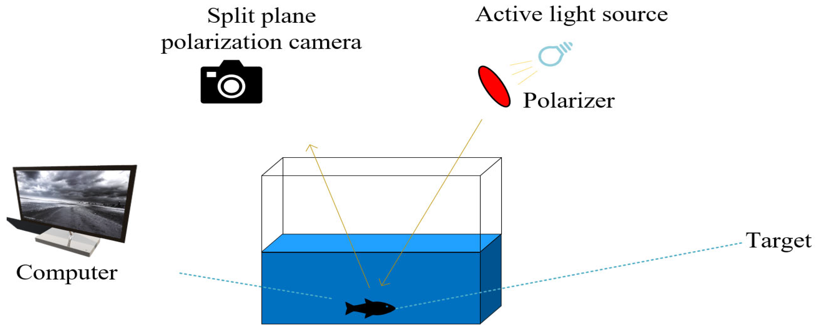 Underwater Degraded Image Restoration By Joint Evaluation And Polarization Partition Fusion