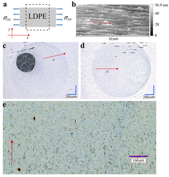 The Concept of Using 2D Self-Assembly of Magnetic Nanoparticles for ...