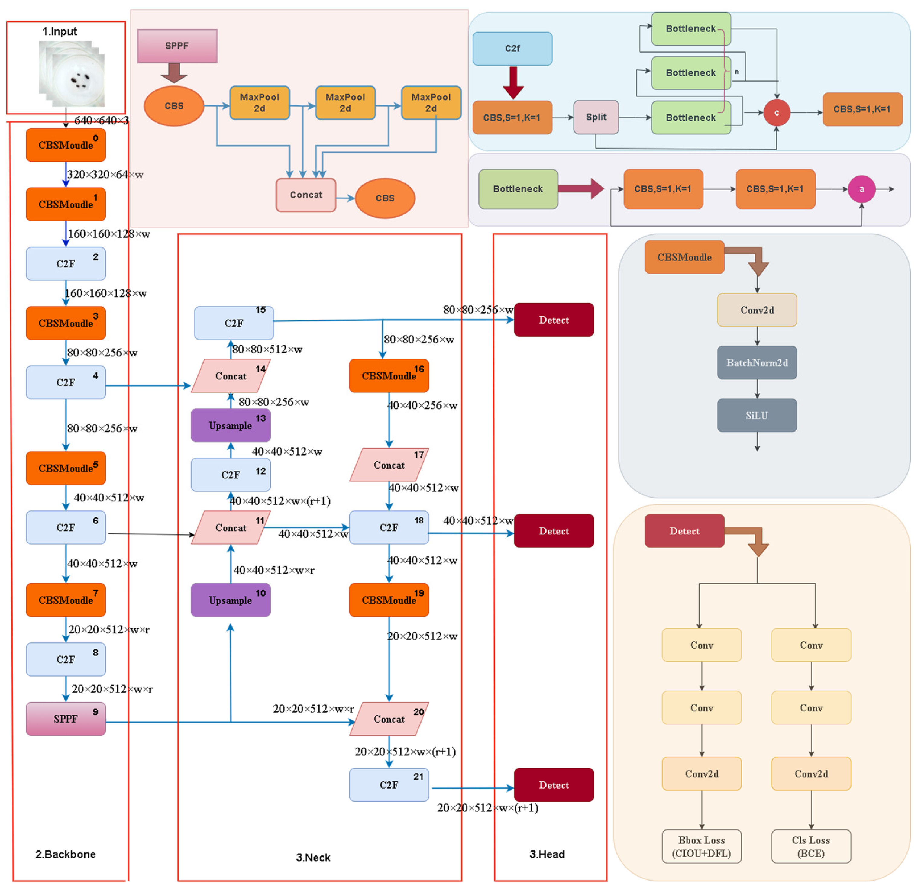 A Lightweight Forest Pest Image Recognition Model Based on Improved YOLOv8