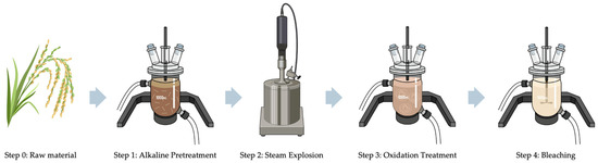 Steam Explosion-Based Method for the Extraction of Cellulose and Lignin from Rice Straw Waste