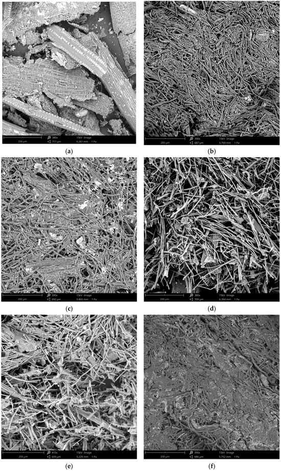 Steam Explosion-Based Method for the Extraction of Cellulose and Lignin ...