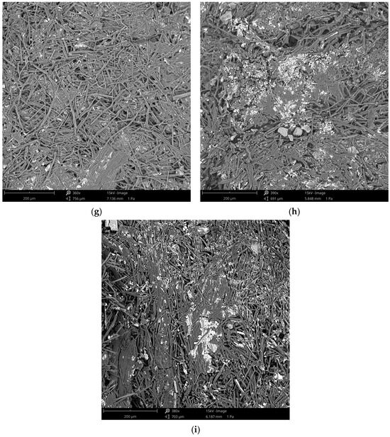 Steam Explosion-Based Method for the Extraction of Cellulose and Lignin ...