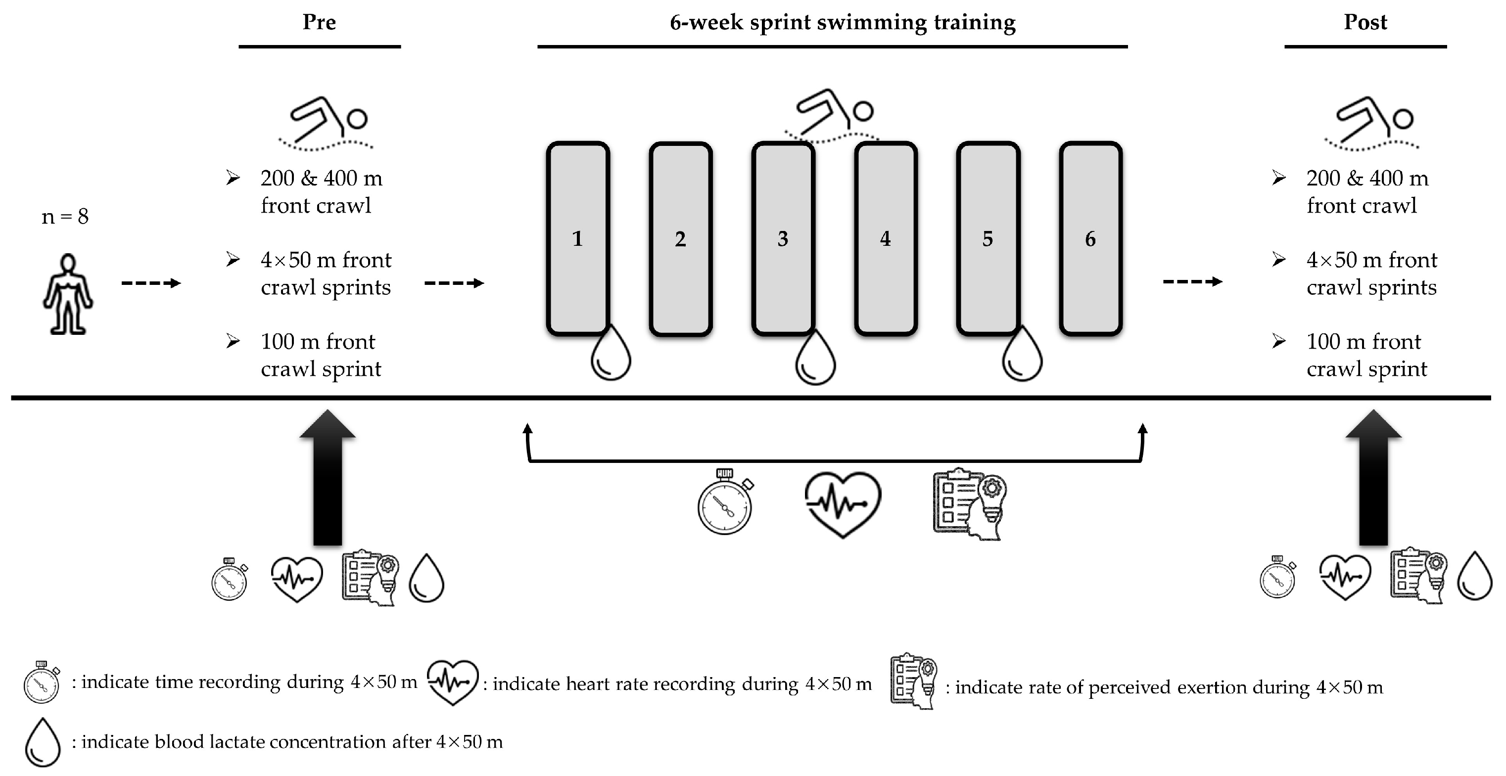 Progression of Sprint Interval Training Set Performance and Physiological Responses during a Six ...
