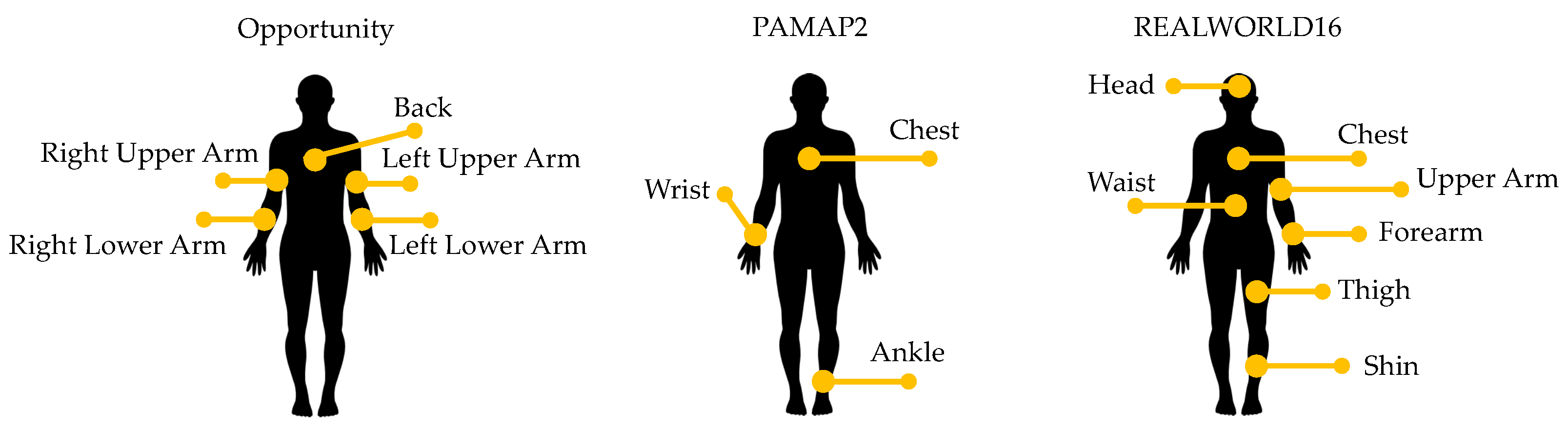 Device Position-Independent Human Activity Recognition with Wearable ...