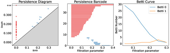 Unraveling Convolution Neural Networks: A Topological Exploration of Kernel Evolution