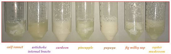 Applied Sciences | Free Full-Text | Exploring New Fruit- and Vegetable ...
