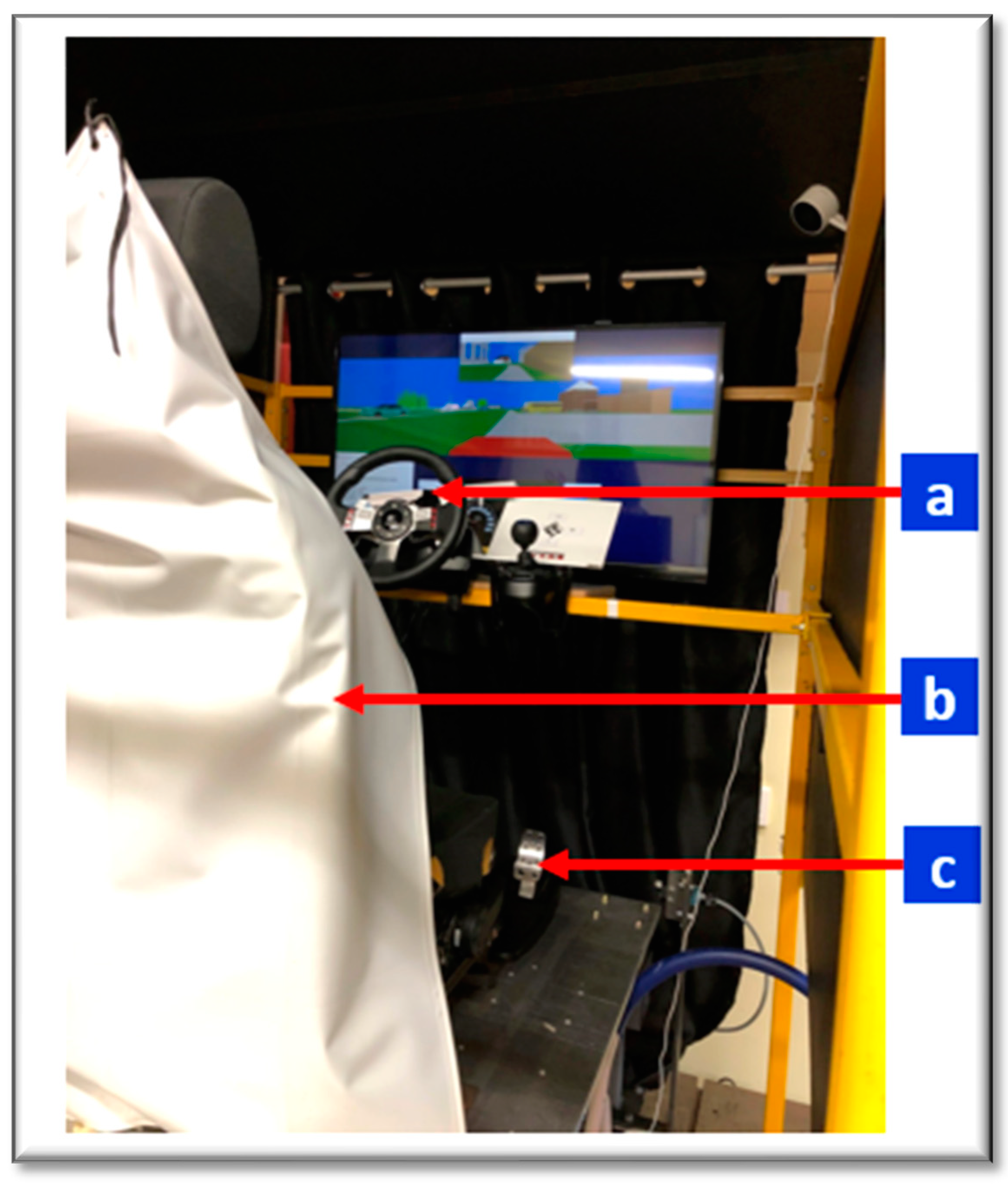 Assessing Training Methods for Advanced Driver Assistance Systems and ...