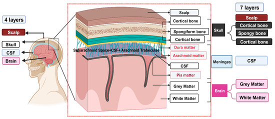 Electrically Equivalent Head Tissue Materials for Electroencephalogram ...