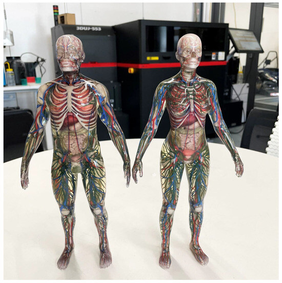 Additive Manufacturing for Surgical Planning and Education: A Review