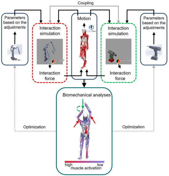 Applied Sciences | Free Full-Text | A Co-Simulation Model Integrating a Musculoskeletal Human ...