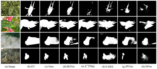 Camouflaged Object Detection That Does Not Require Additional Priors